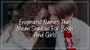 200+ Enigmatic Names That Mean Shadow For Boys And Girls - The Bad-Ass ...